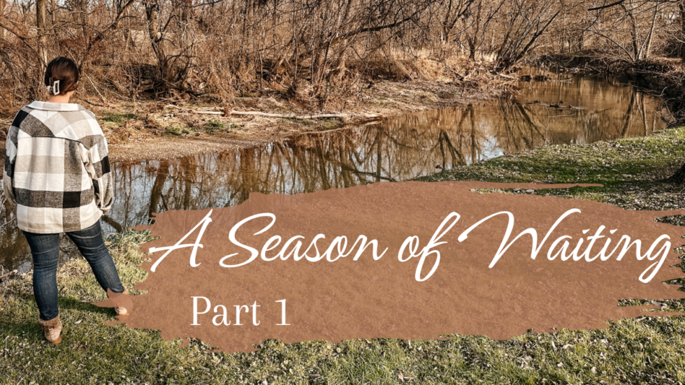 A Season of Waiting Part 1 - Each Little Moment
